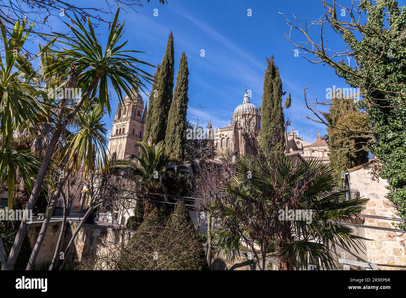 The New Cathedral, Catedral Nueva is one of the two cathedrals of ...