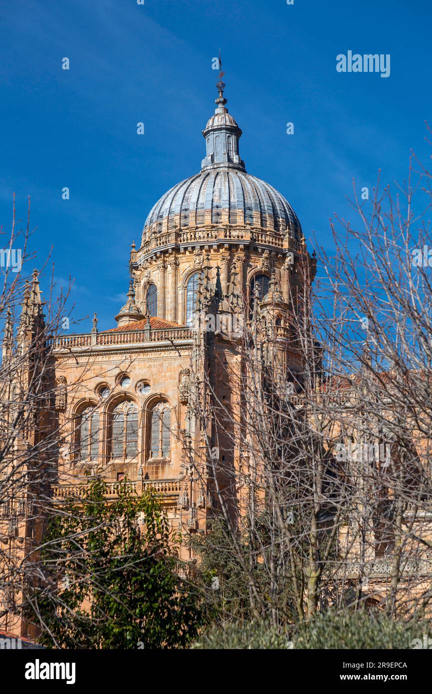The New Cathedral, Catedral Nueva is one of the two cathedrals of ...
