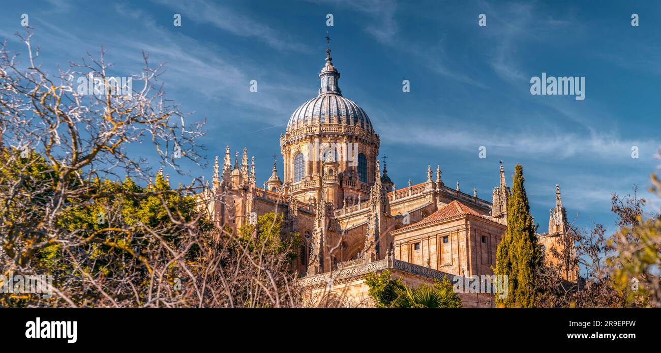 The New Cathedral, Catedral Nueva is one of the two cathedrals of ...