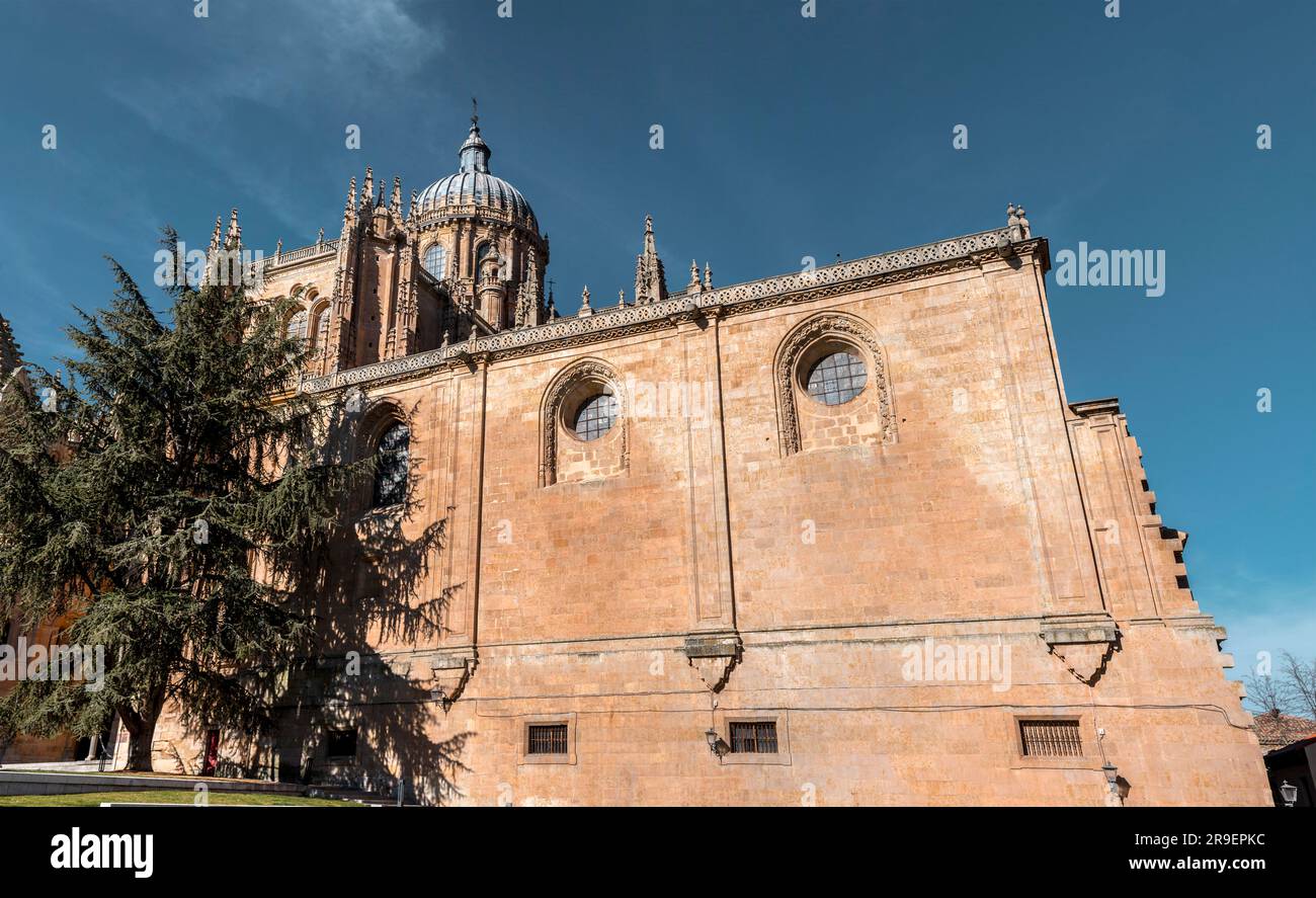 The New Cathedral, Catedral Nueva is one of the two cathedrals of ...