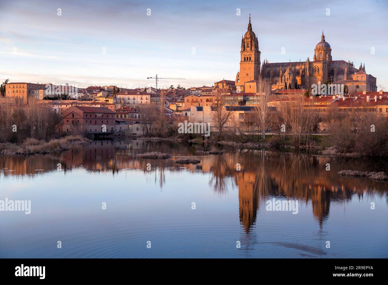 Salamanca Skyline view with the Cathedral of Salamanca and its ...