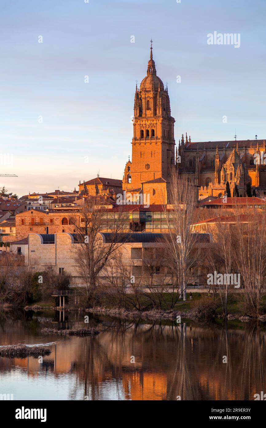 Salamanca Skyline view with the Cathedral of Salamanca and its ...