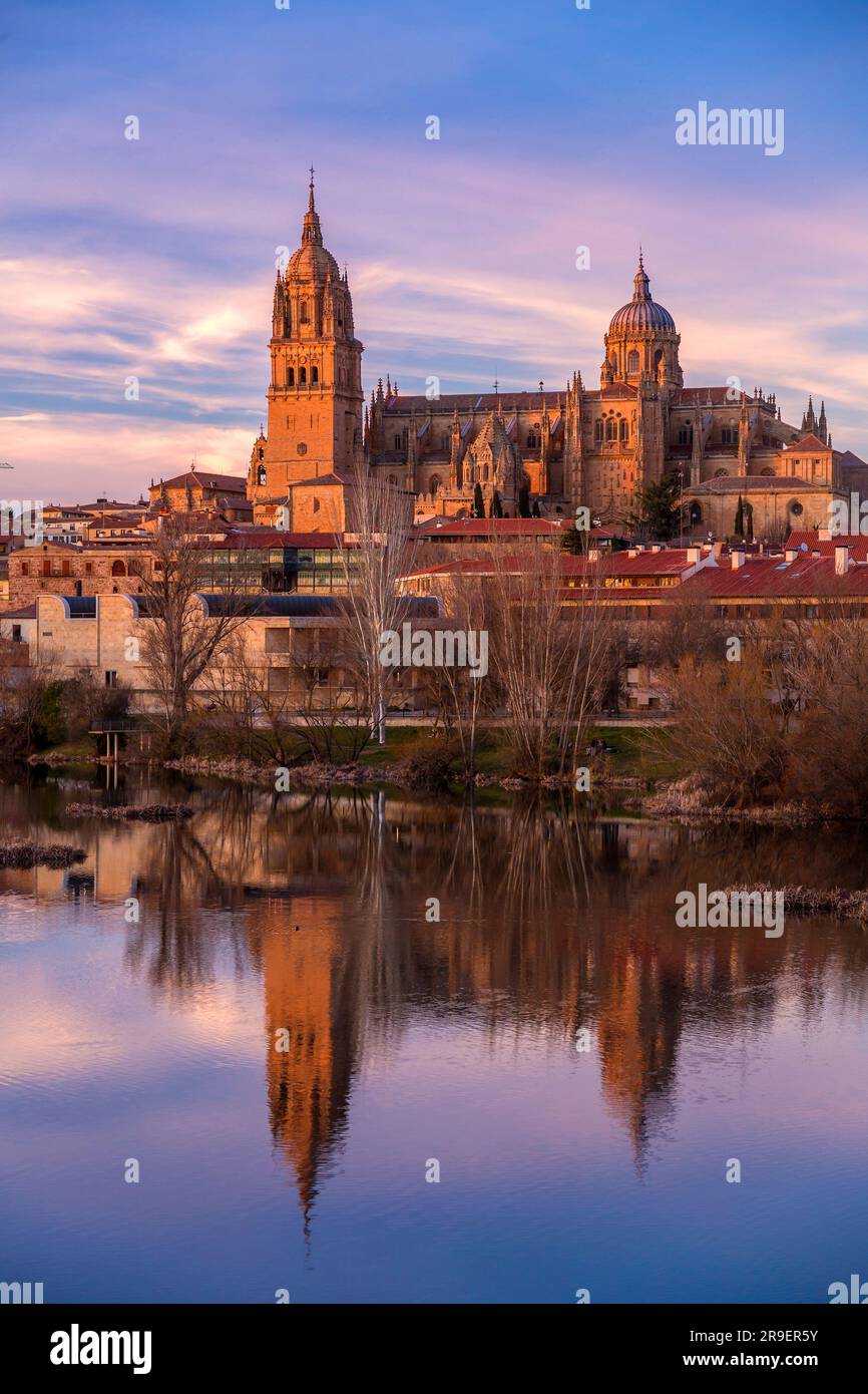 Salamanca Skyline view with the Cathedral of Salamanca and its ...