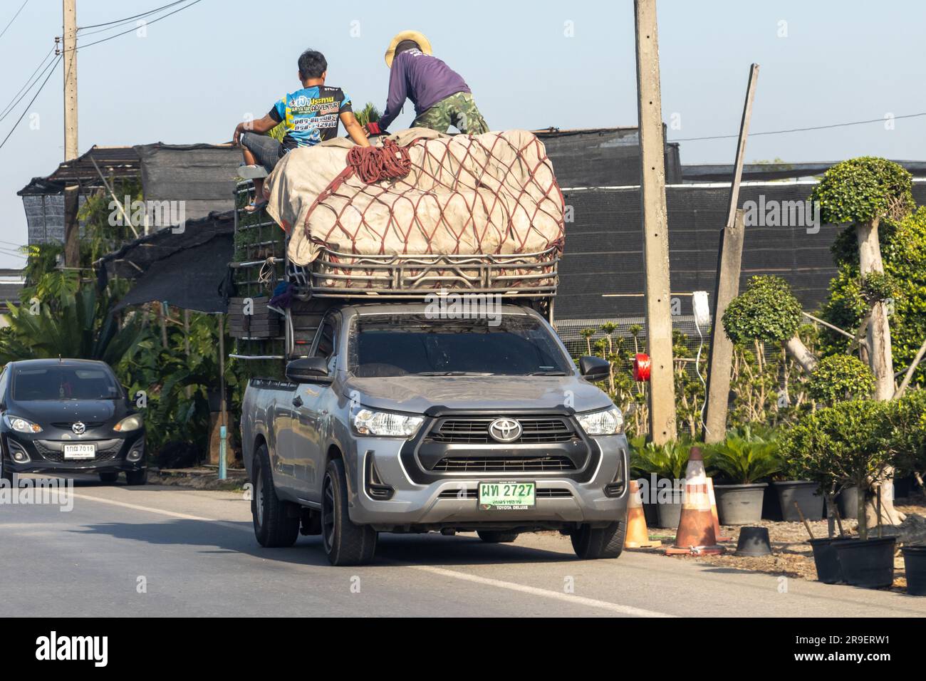 BANGKOK, THAILAND, JAN 21 2023, men load trees into the back of a pick ...
