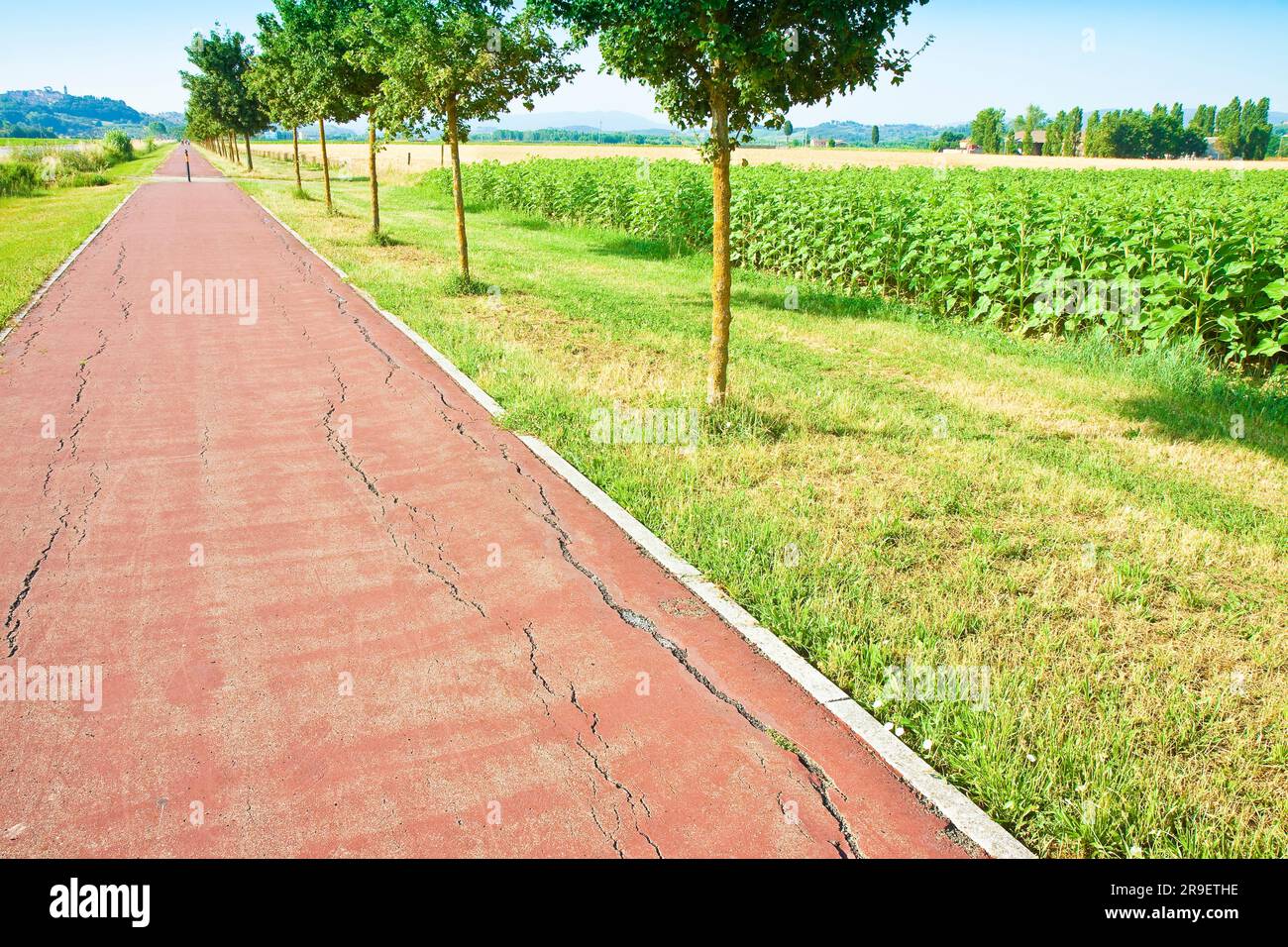 Pisa park bicycle hi-res stock photography and images - Alamy
