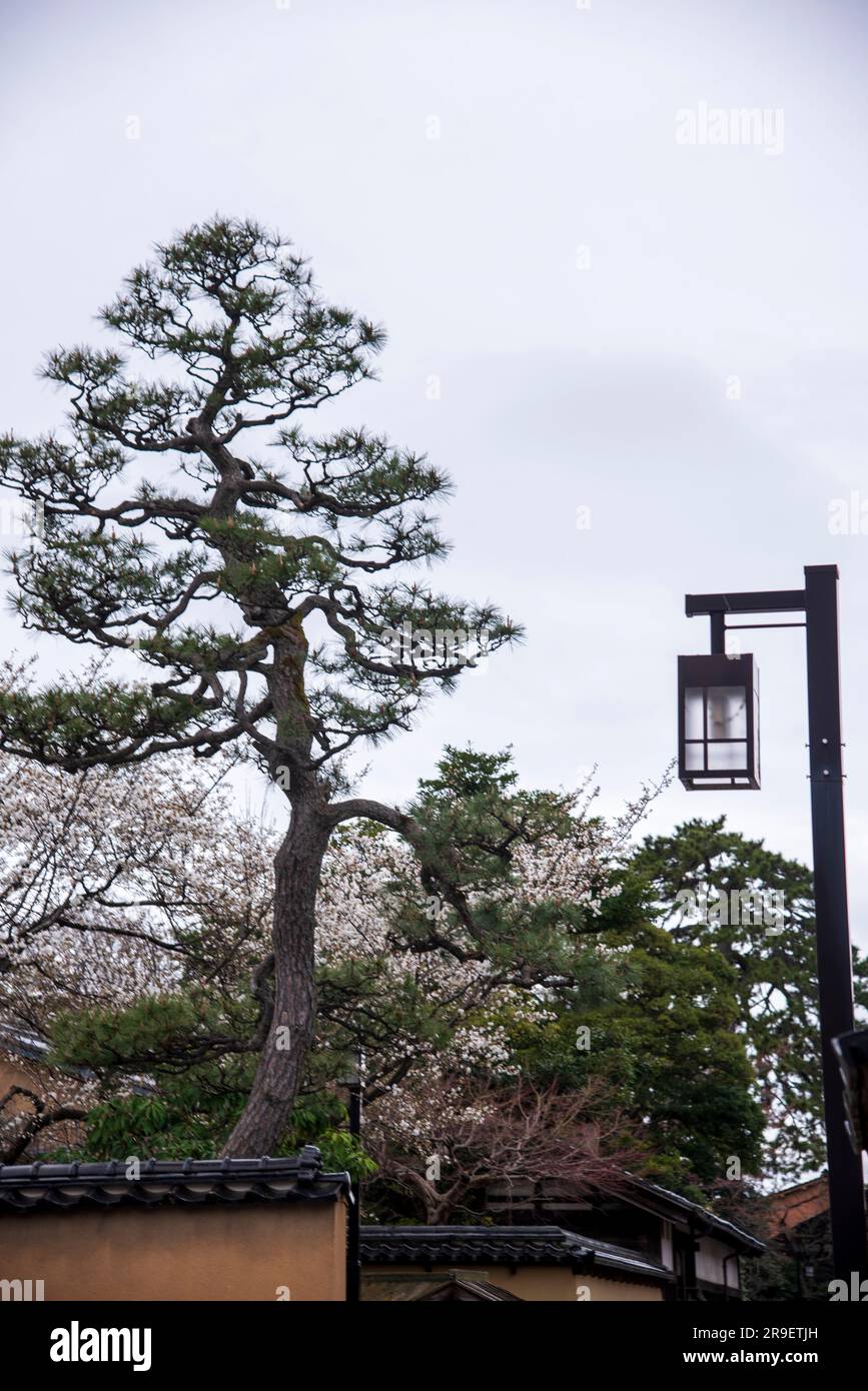 Nagamachi Samurai District, Kanazawa, Japan Stock Photo - Alamy