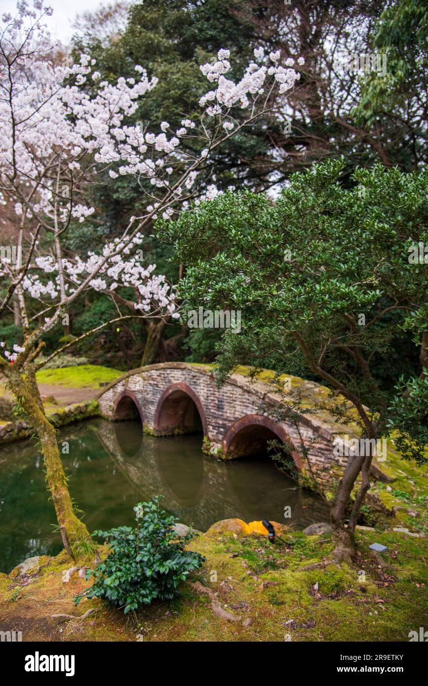 Moss covered bridge hi-res stock photography and images - Alamy