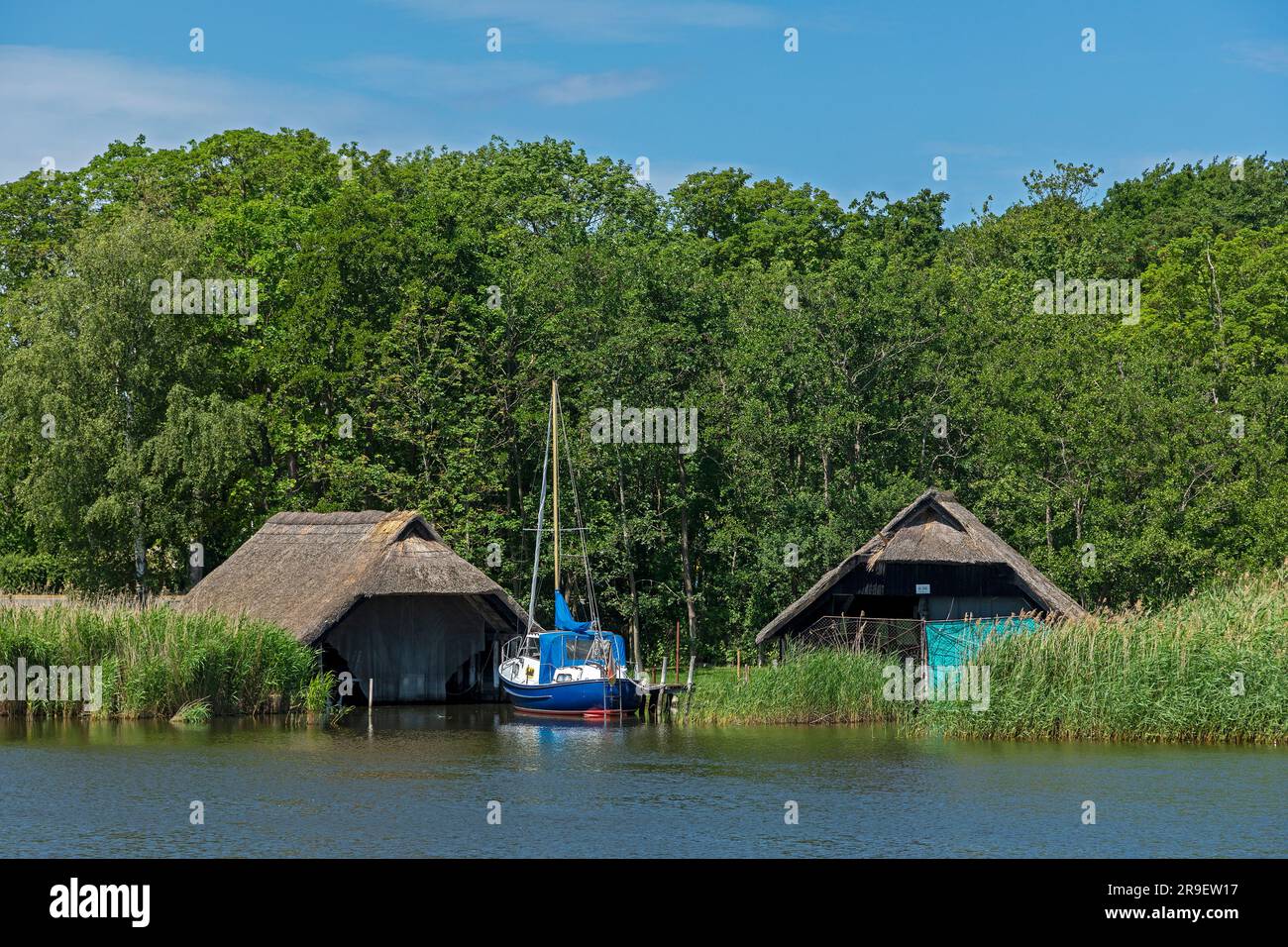Thatched boathouses, sailing boat, harbour, Prerow, Fischland-Darss ...