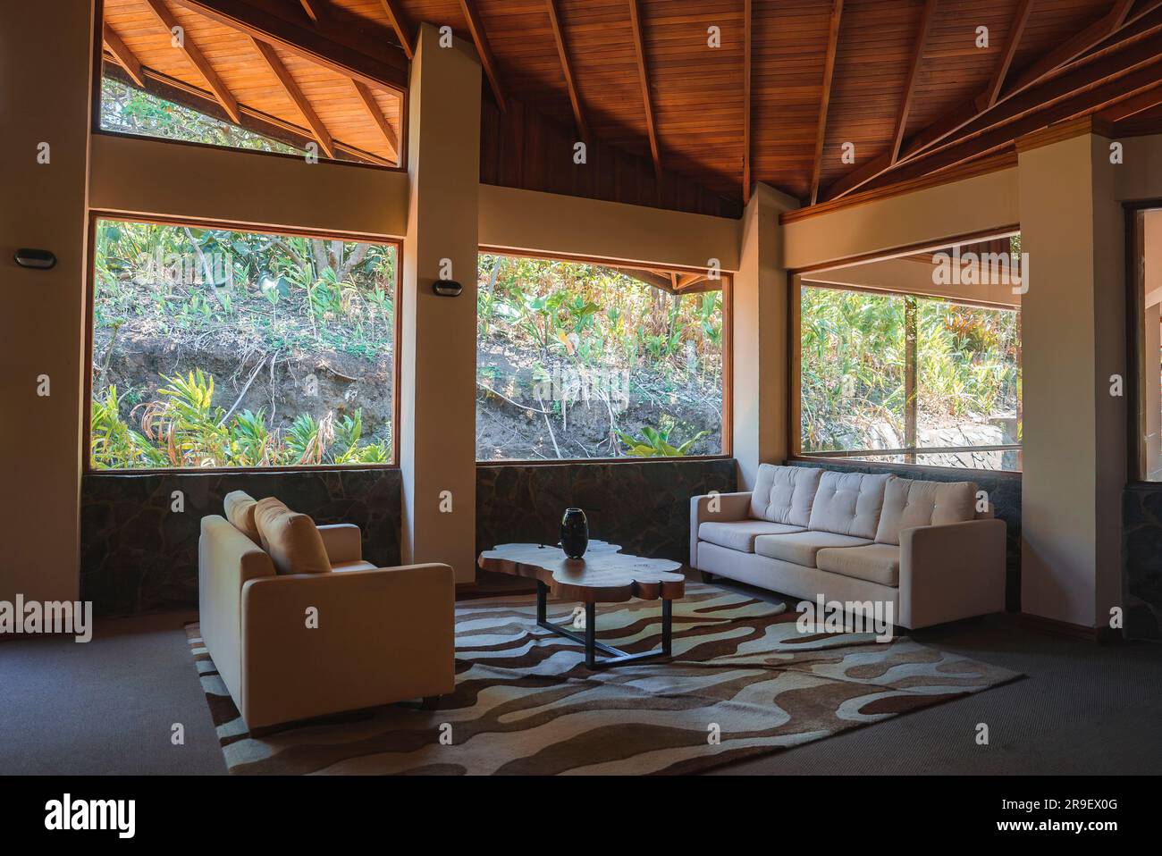 Living room with jungle view hi-res stock photography and images - Alamy