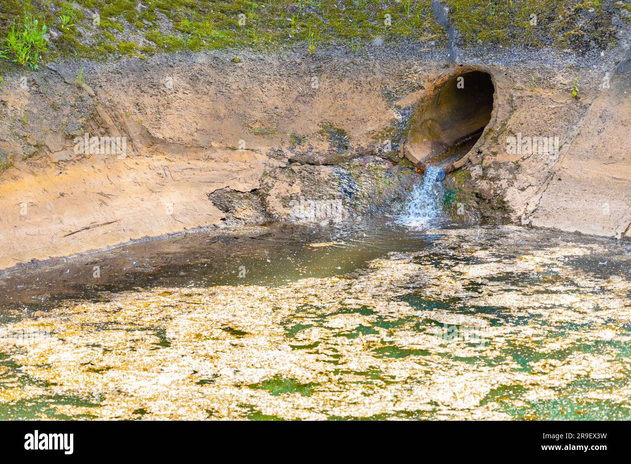 collector for water discharge in the park area. environmental problem ...