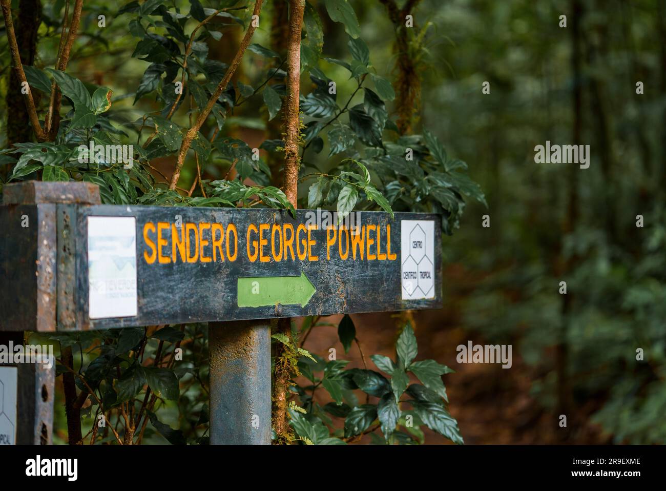 Signboard with hiking trail direction in forest Stock Photo - Alamy