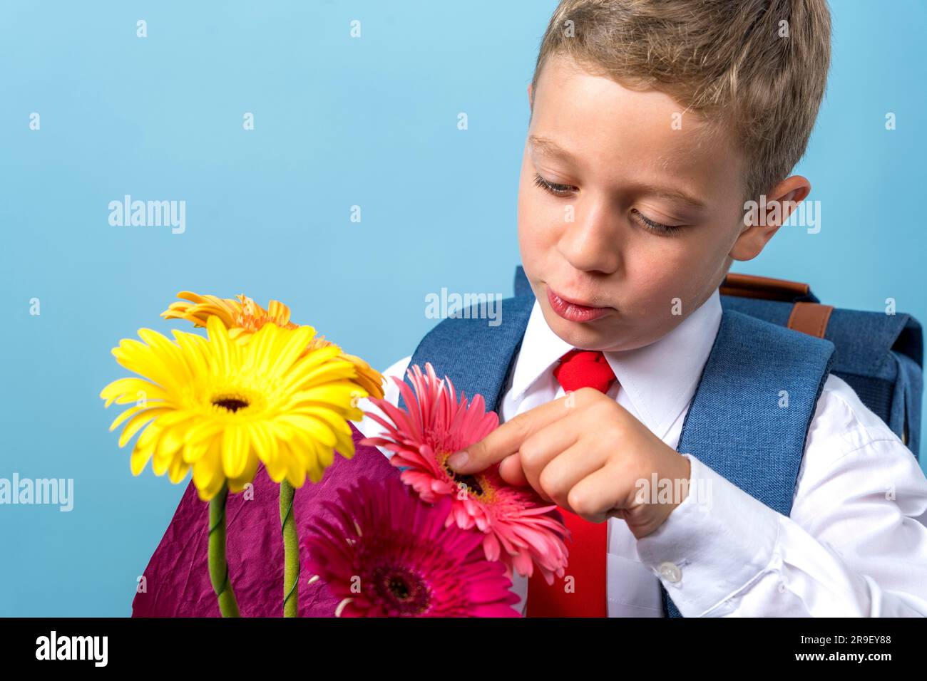 a happy funny first grader in a white shirt with a red tie examines and ...