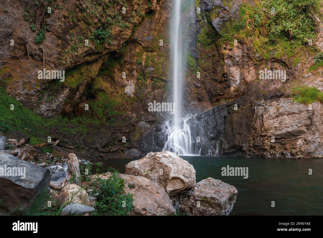 Montezuma waterfall in nature of Costa Rica Stock Photo - Alamy