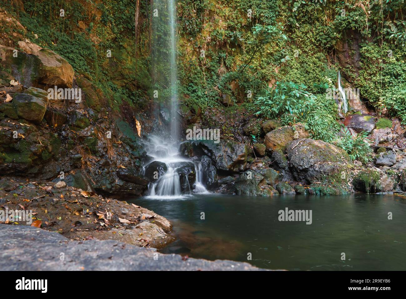 Montezuma waterfall in nature of Costa Rica Stock Photo - Alamy