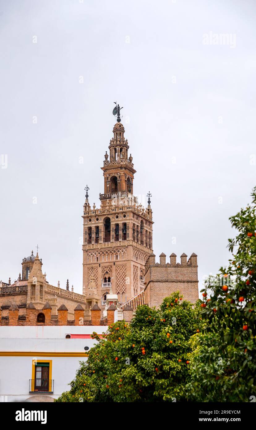 La Giralda is the bell tower of Seville Cathedral. It was originally ...
