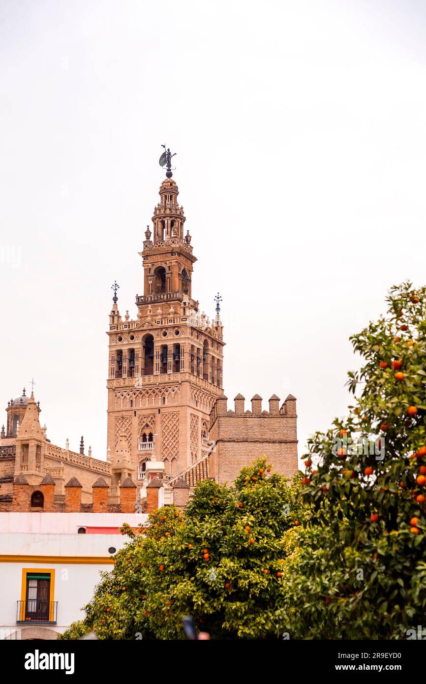 La Giralda is the bell tower of Seville Cathedral. It was originally ...