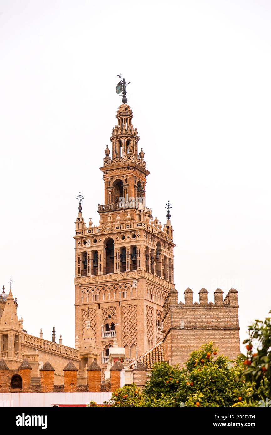 Great mosque of seville hi-res stock photography and images - Alamy