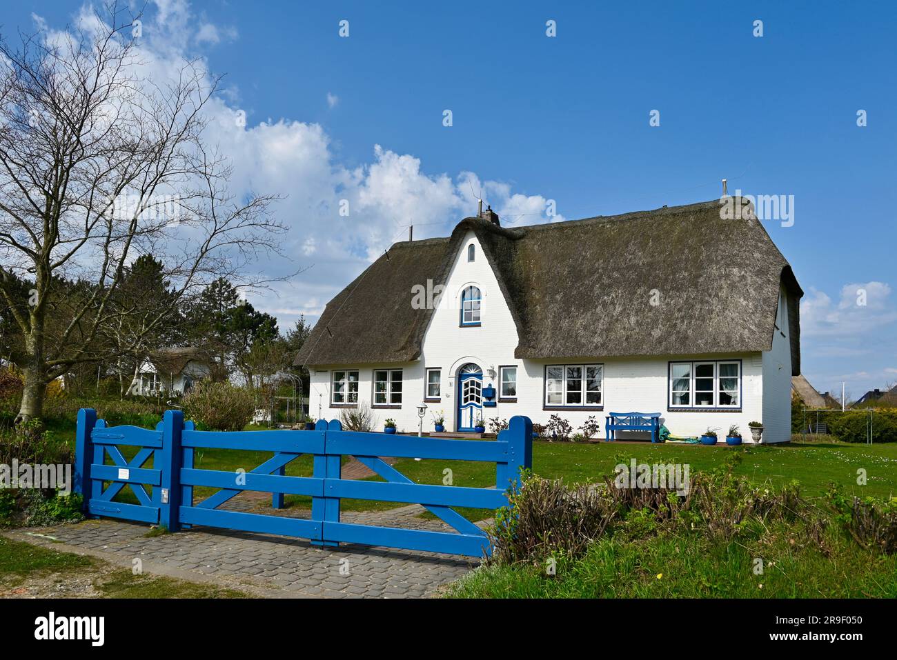Tatched house / Friesenhaus in the village of Nebel on Amrum,, Frisian ...
