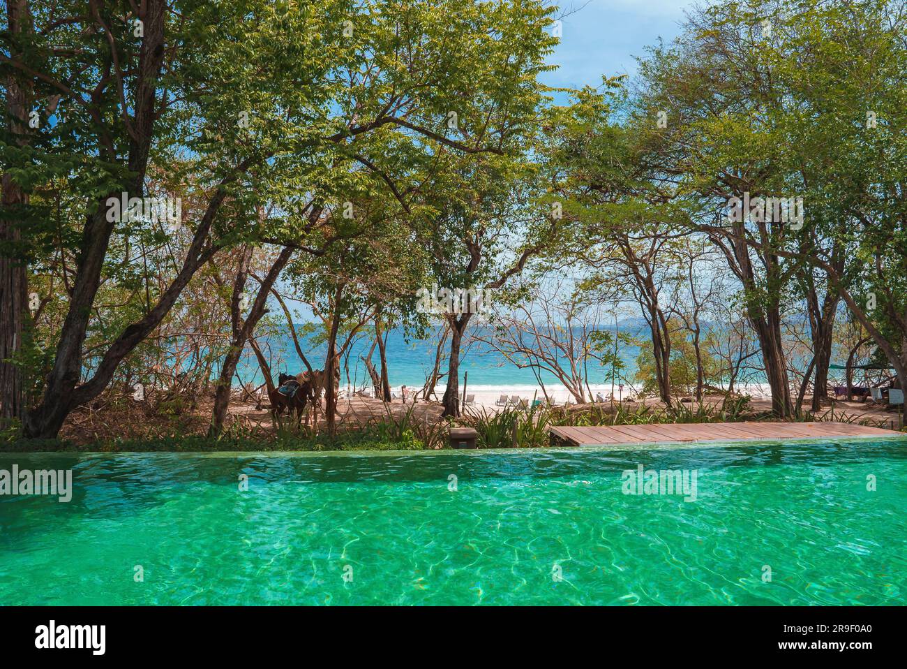 Resort hotel swimming pool with seascape in the background Stock Photo ...