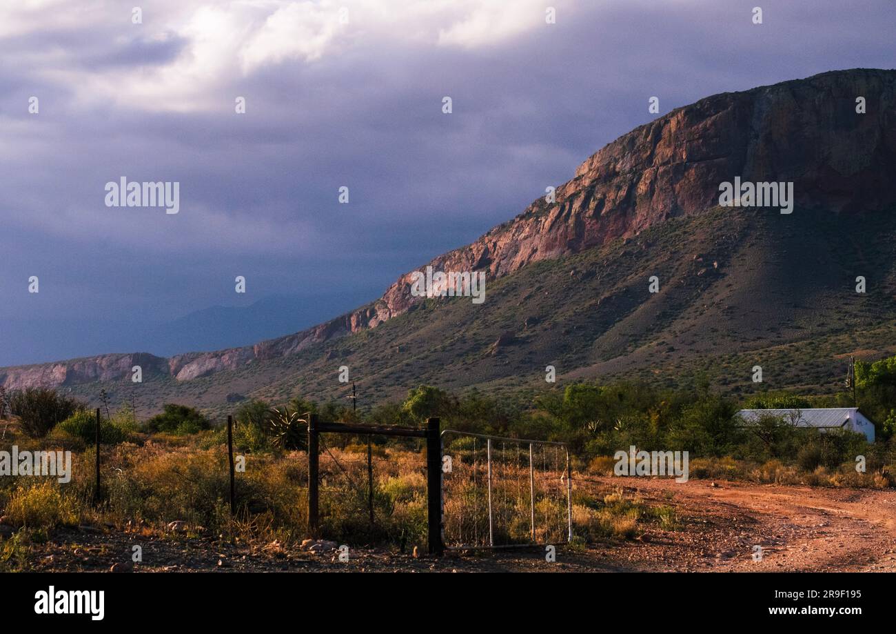 Karoo farm hi-res stock photography and images - Alamy