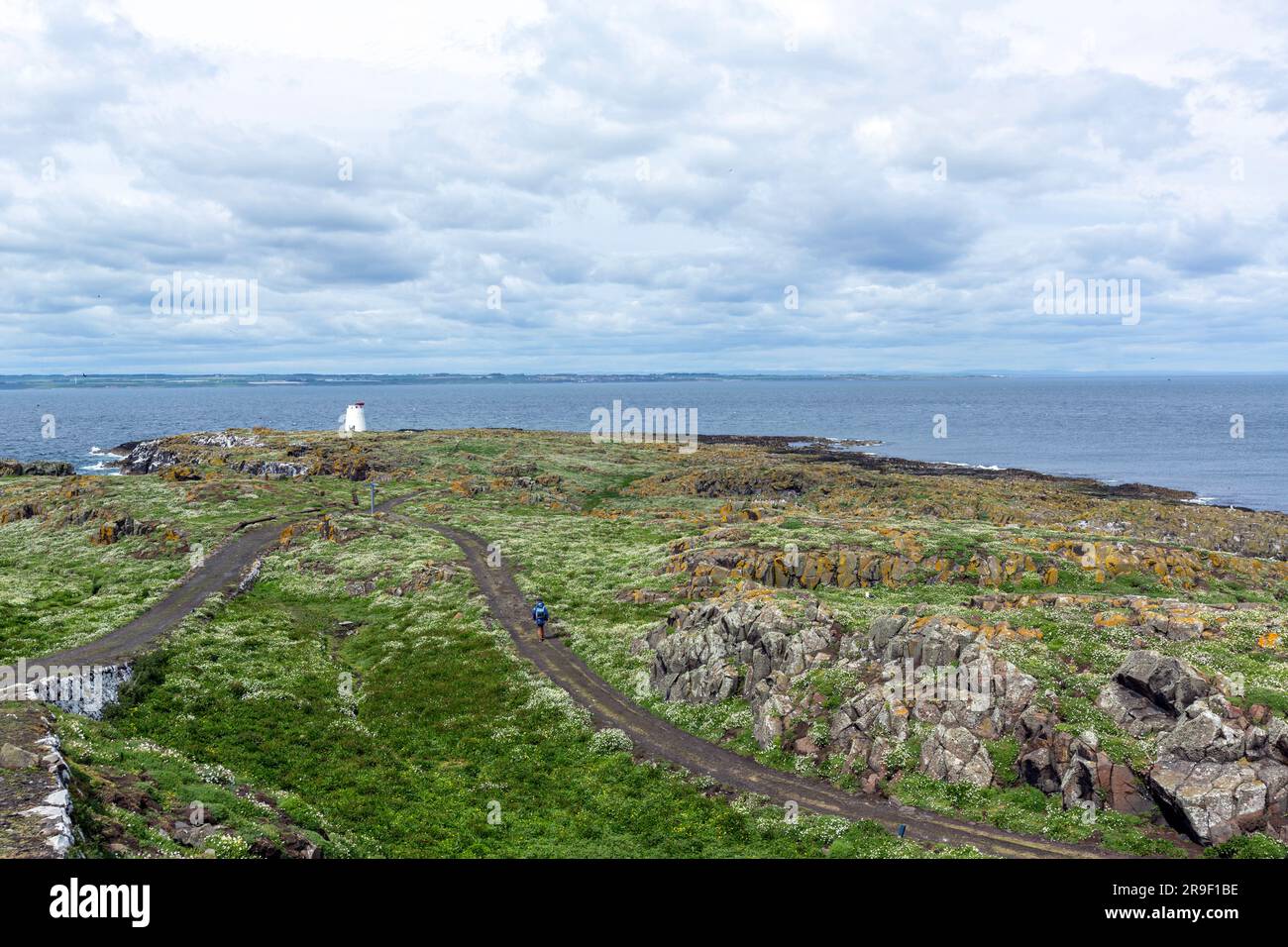 Isle of May, Firth of Forth, Scotland, UK Stock Photo - Alamy