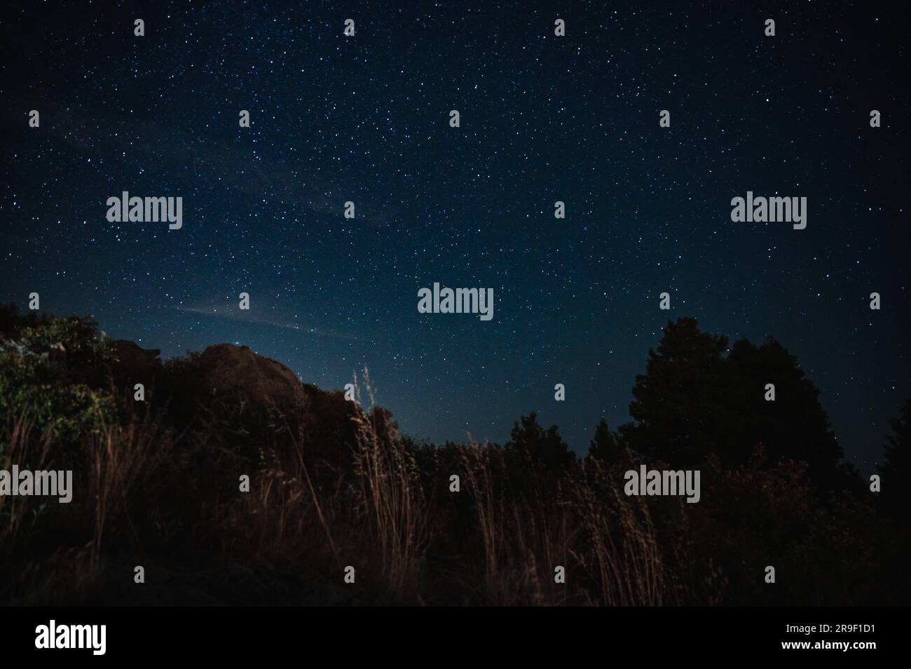 An aerial view of the beautiful starry sky and the silhouettes of trees ...