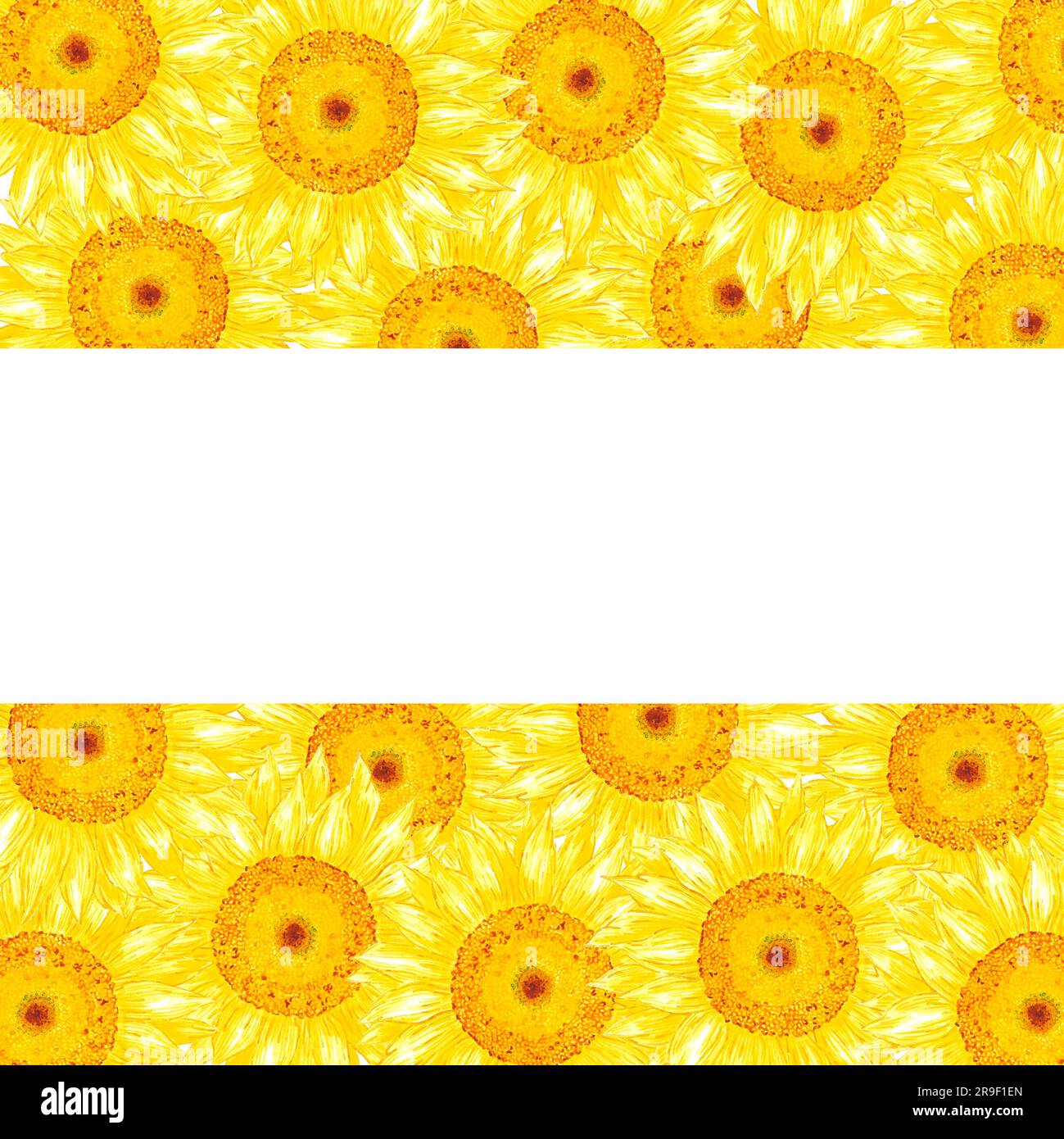 Hand drawn watercolor yellow sunflower boarder frame isolated on white ...