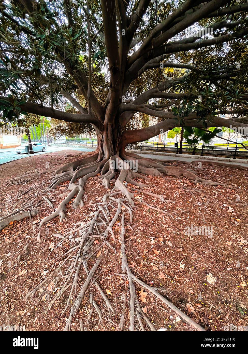 Gigantic growth hi-res stock photography and images - Alamy