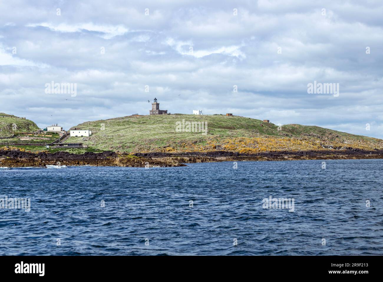 Isle of May, Firth of Forth, Scotland, UK Stock Photo - Alamy