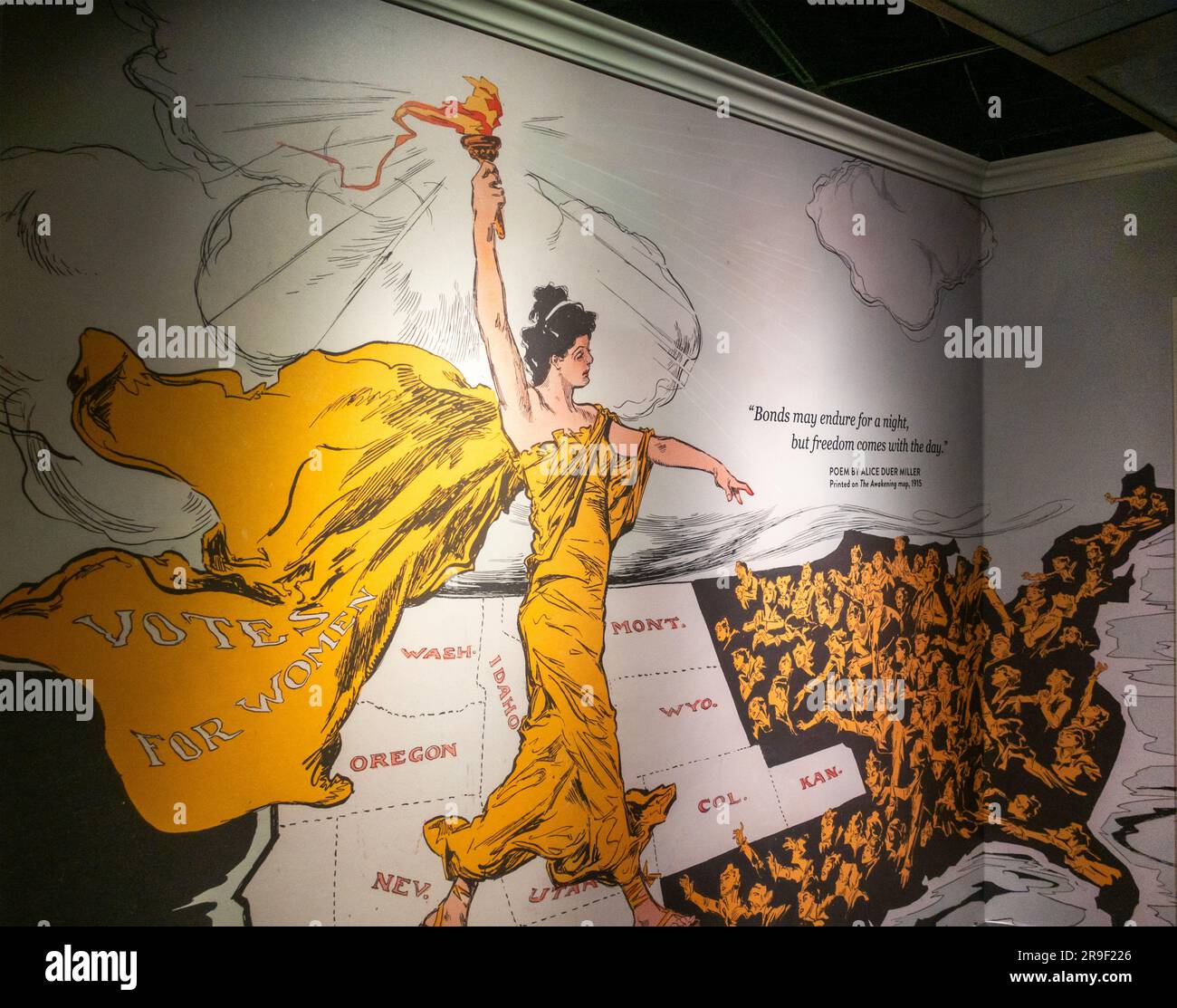 Women suffrage map usa hi-res stock photography and images - Alamy