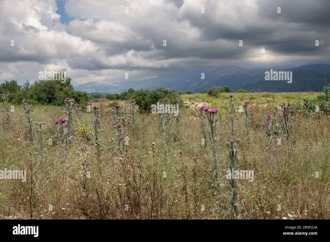 Brooding cloud hi-res stock photography and images - Alamy