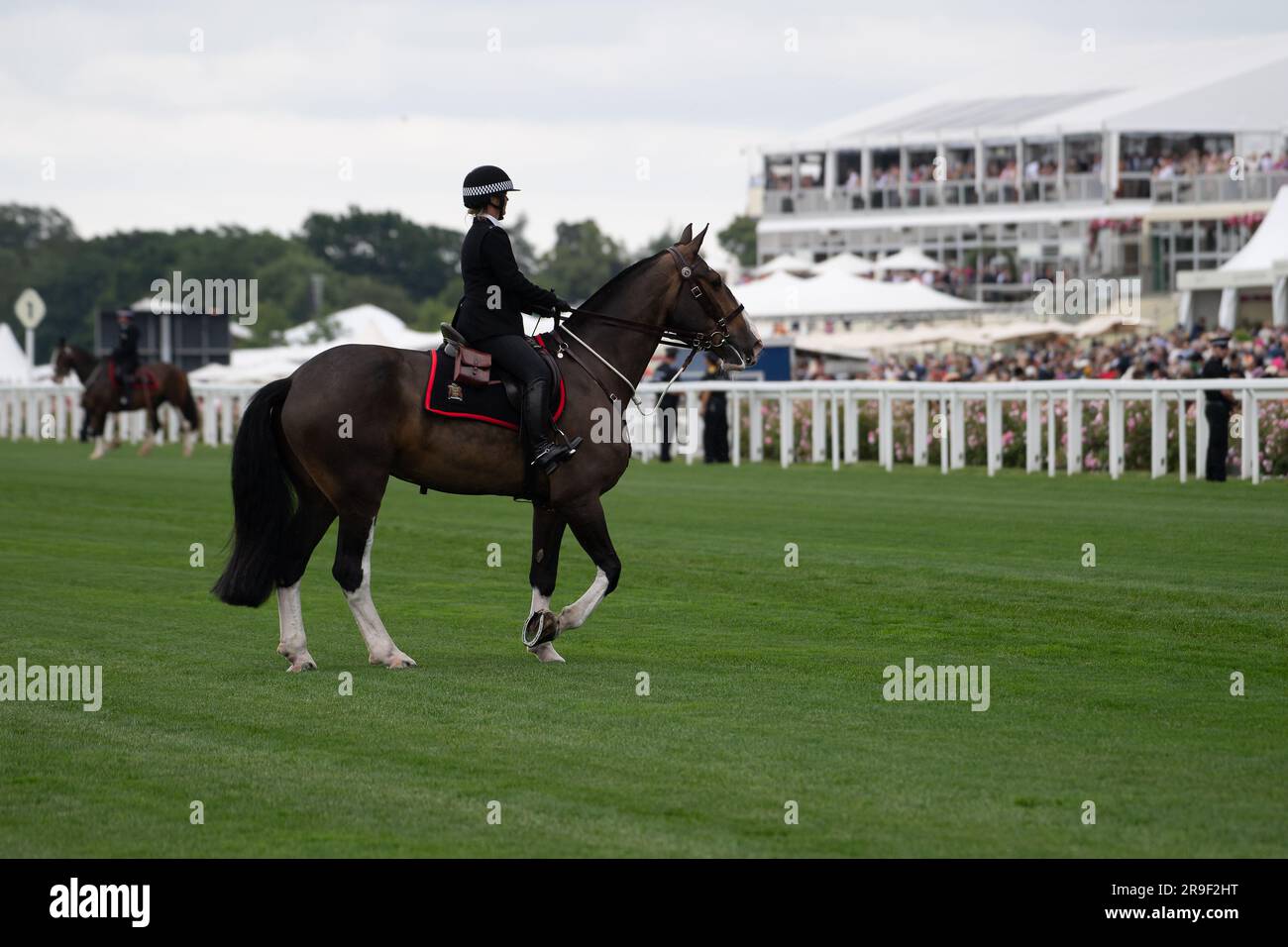 Ascot, Berkshire, UK. 20th June, 2023. Thames Valley Police Mounted ...