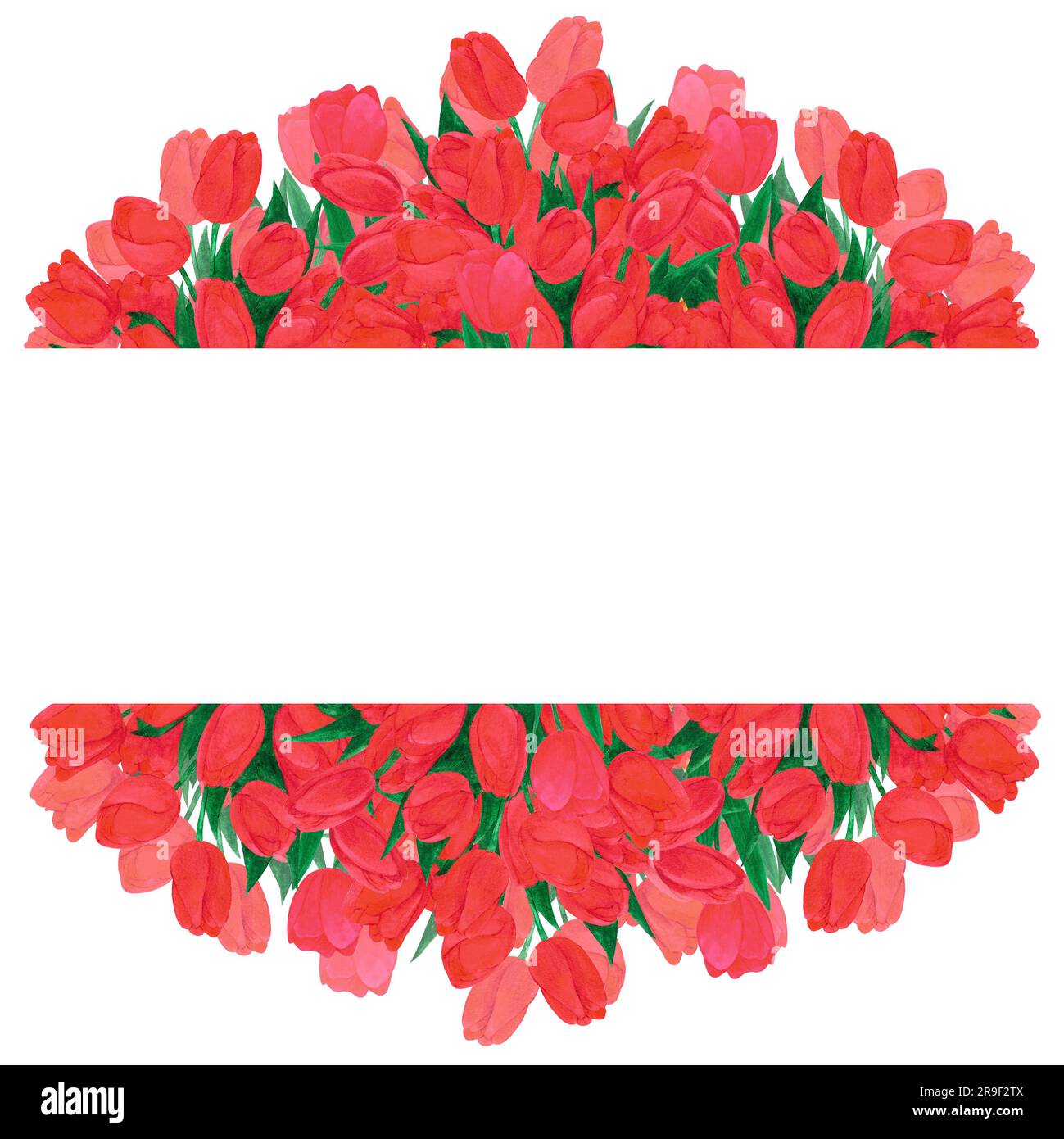 Hand drawn watercolor red tulips frame boarder on white background ...