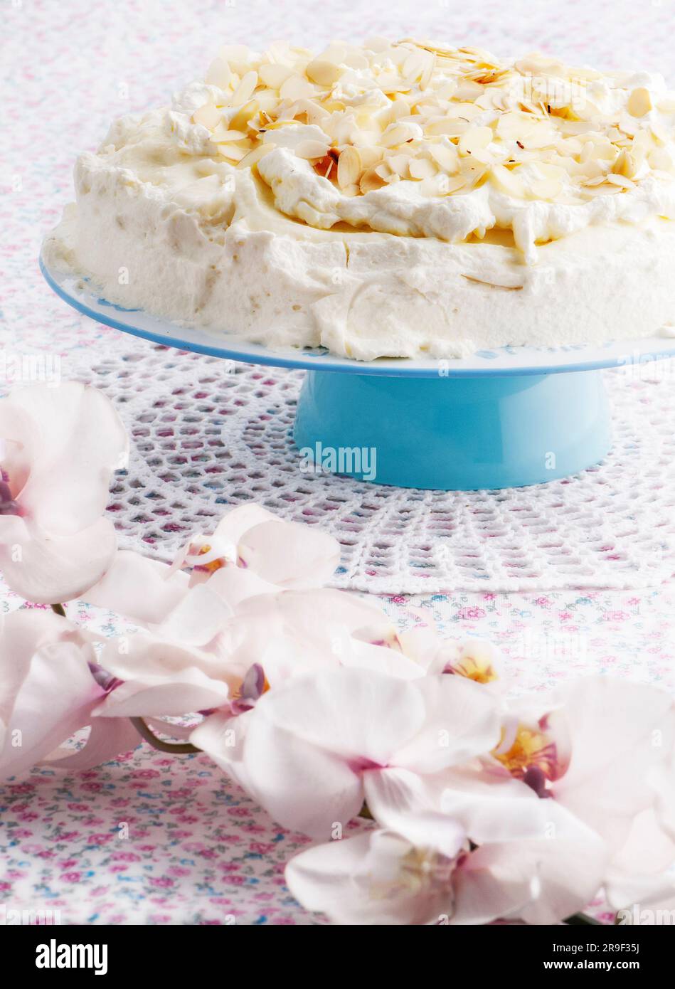 Almond layer hi-res stock photography and images - Alamy