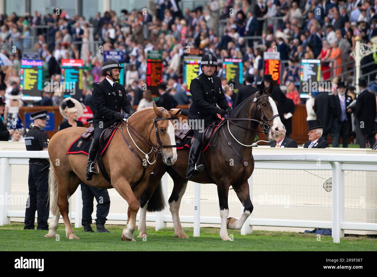 Ascot, Berkshire, UK. 20th June, 2023. Thames Valley Police Mounted ...