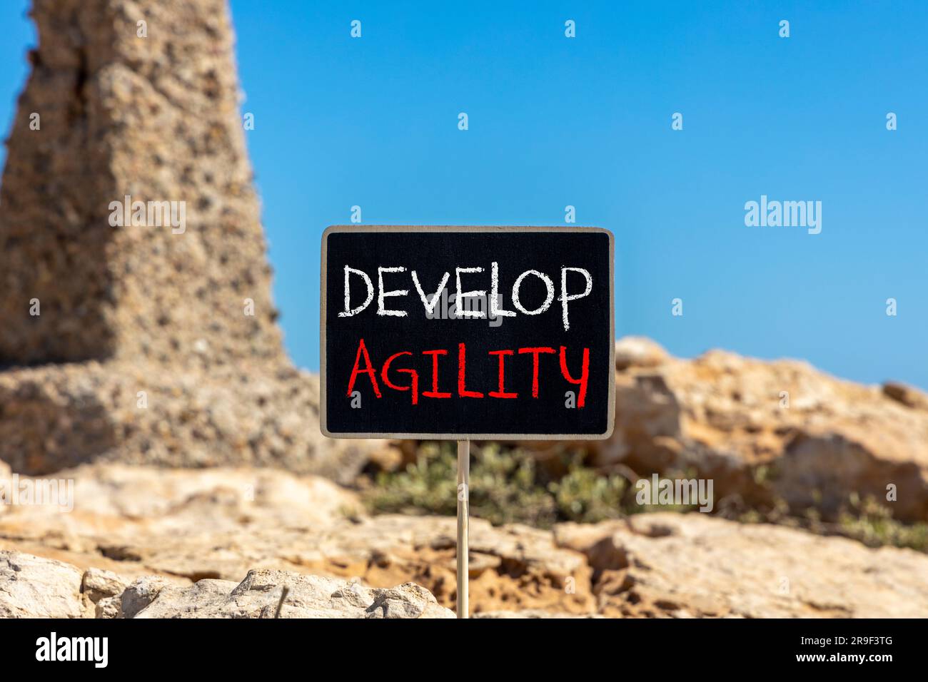 Develop agility symbol. Concept words Develop agility on beautiful ...