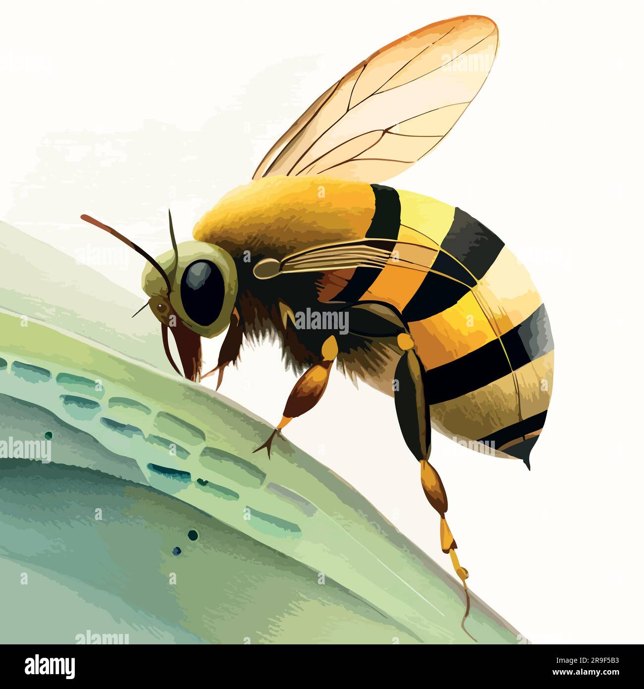 Bee collection vector vectors hi-res stock photography and images - Alamy