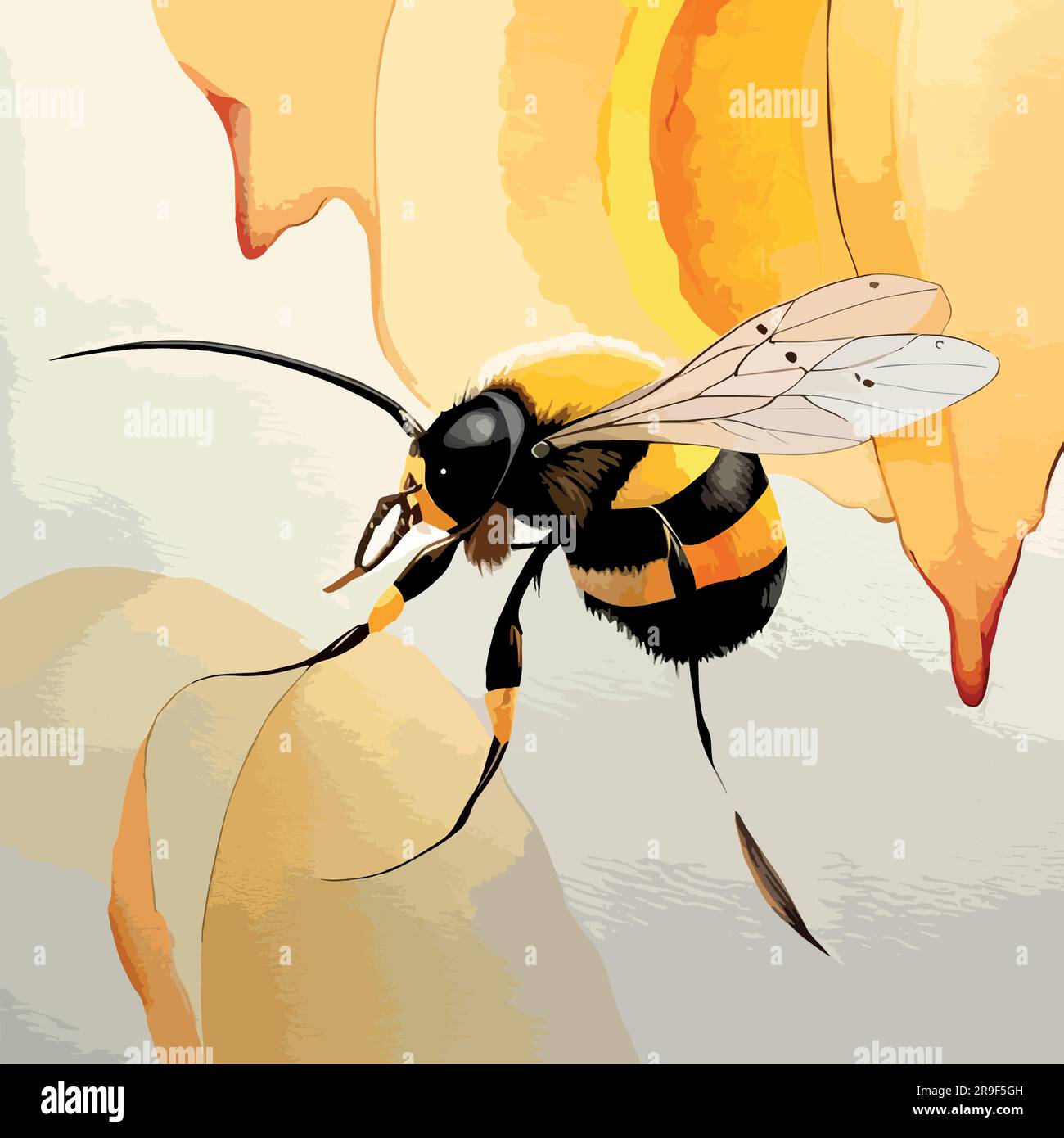 Bee collection vector vectors hi-res stock photography and images - Alamy