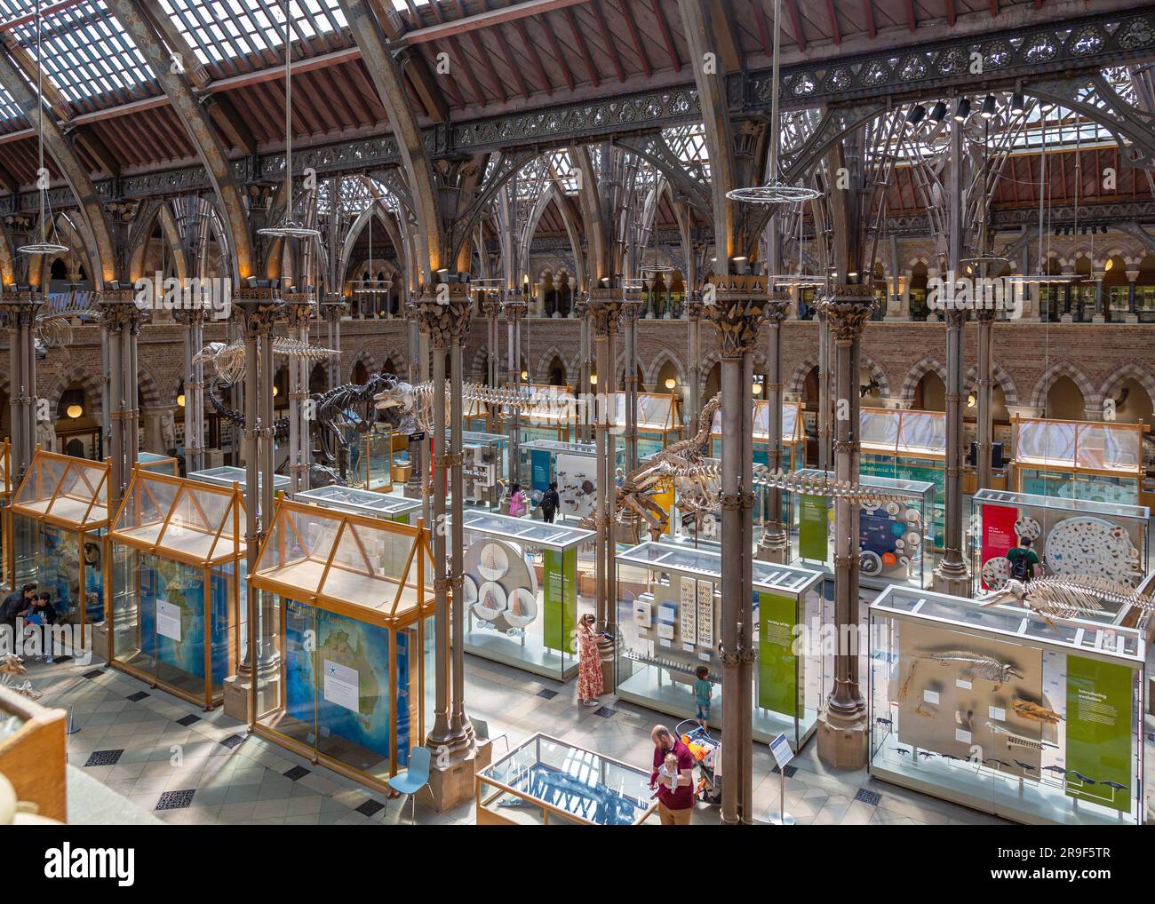 General exhibits view inside Oxford Natural History Museum Stock Photo ...