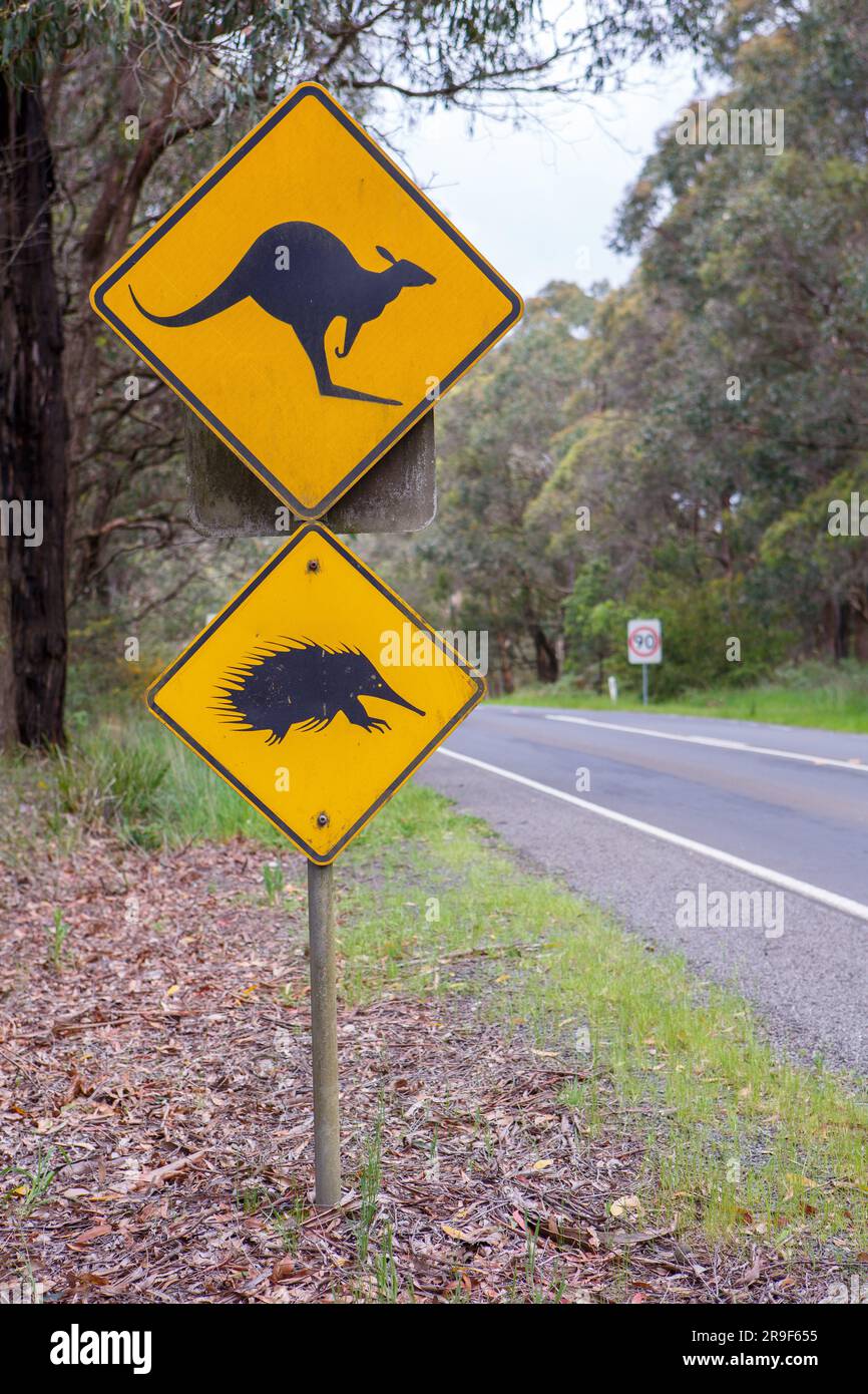 Wildlife Road Signs on a backroad in Victoria, Australia Stock Photo ...