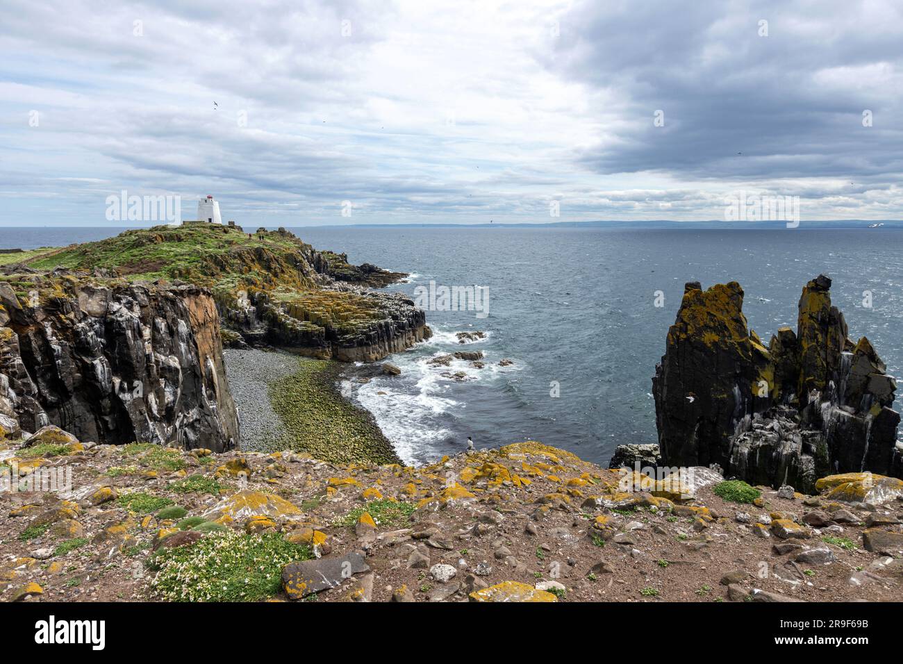 Isle of May, Firth of Forth, Scotland, UK Stock Photo - Alamy
