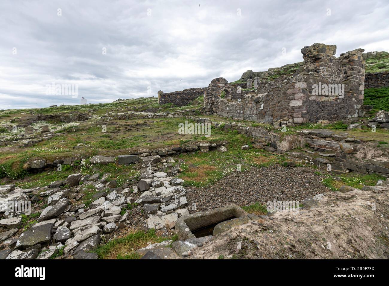 St Adrian's Chapel, Isle of May, Firth of Forth, Scotland, UK Stock ...
