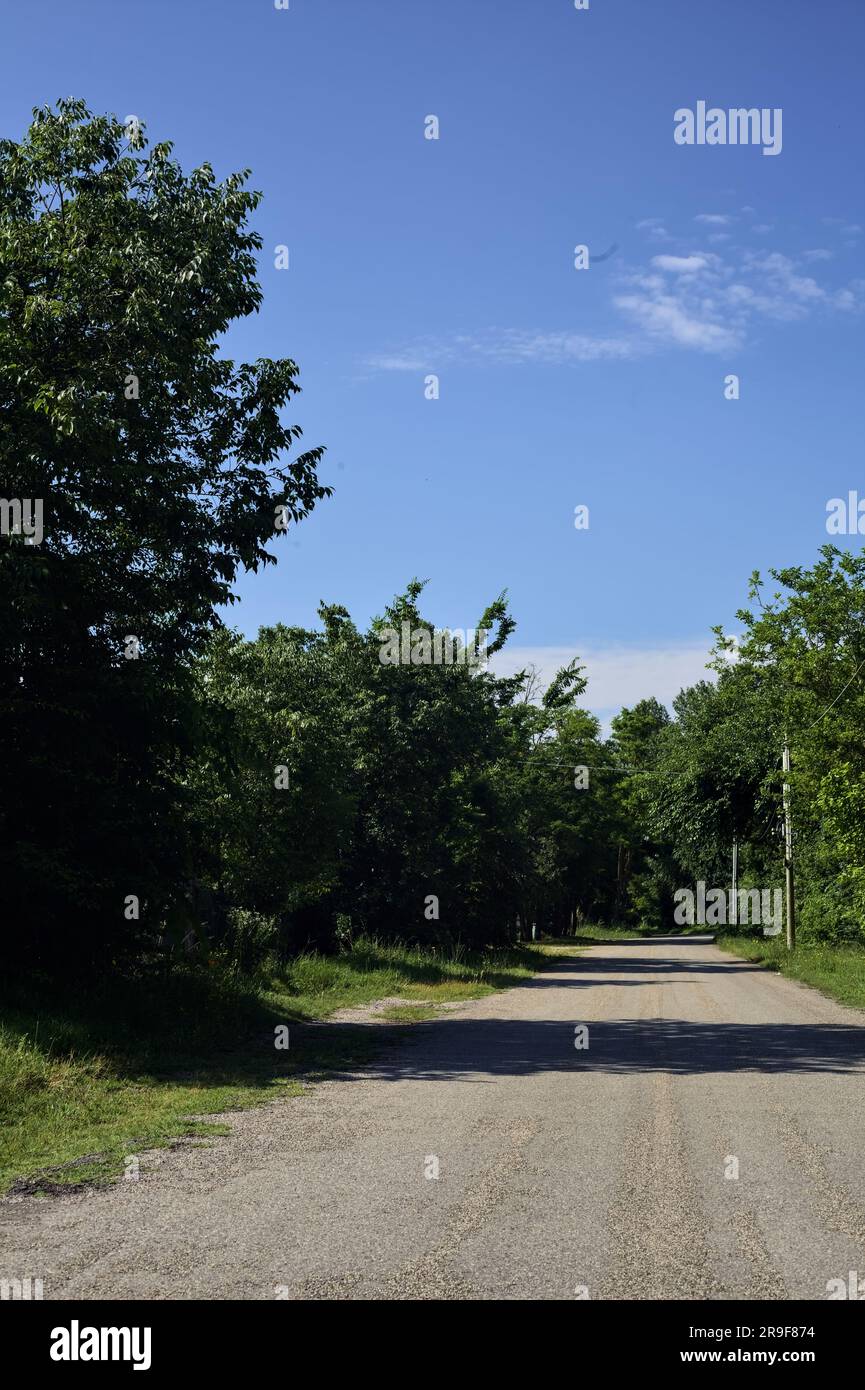 Small country road bordered by trees and an over head cable in summer ...
