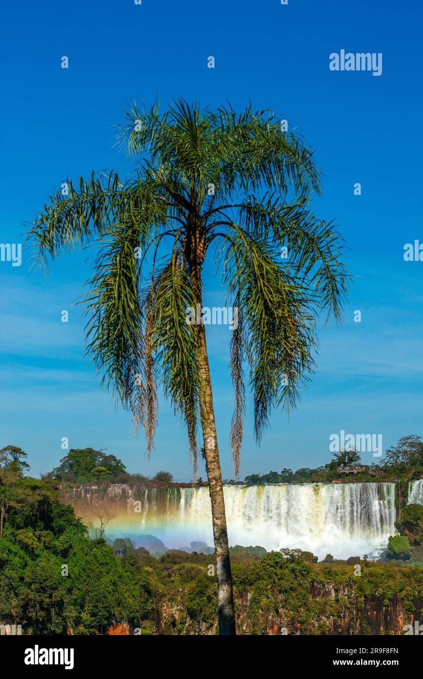 Lower Circuit, Cataratas del Iguazú, Iguazu Water Falls, Nationalpark ...
