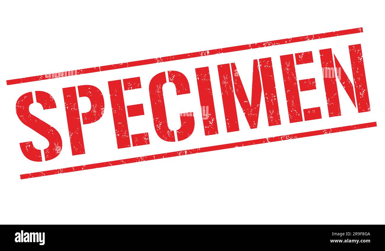 Specimen grunge rubber stamp on white background, vector illustration ...