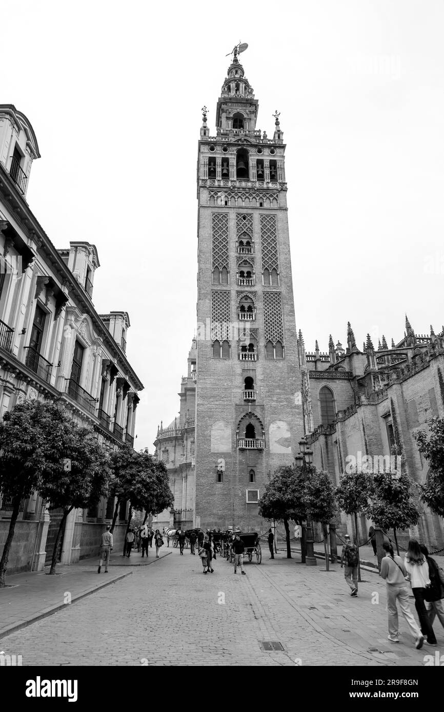 Great mosque of seville Black and White Stock Photos & Images - Alamy