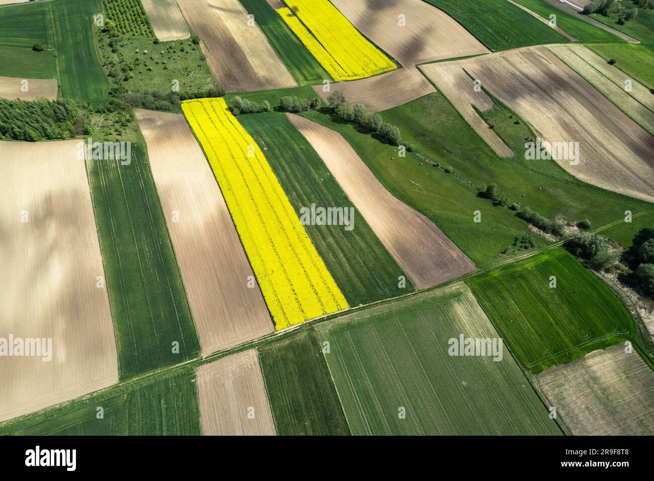Colorful patterns in crop fields at farmland, aerial view, drone photo ...