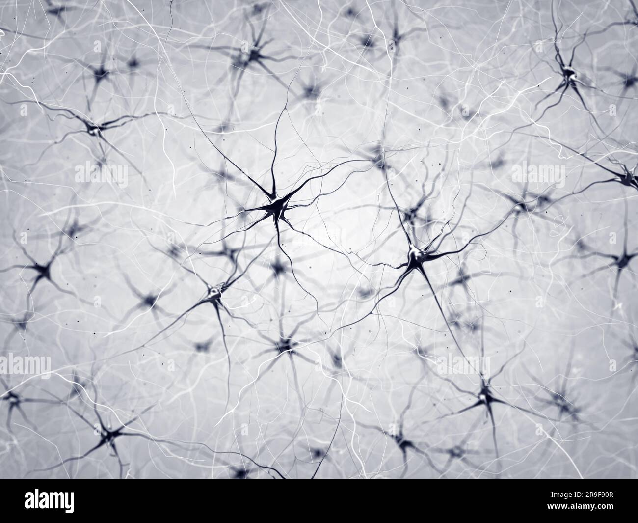 Neurons also known as neurones or nerve cells . The neurons transmit ...