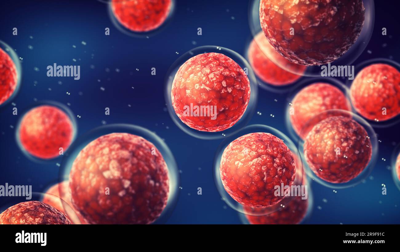 Embryonic stem cells. Repairing damaged cells by reducing inflammation ...