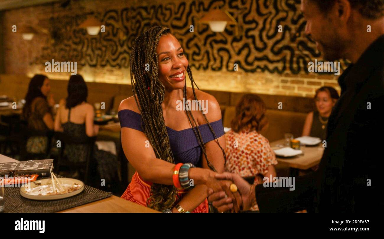 USA. Karen Pittman and Gary Dourdan in the (C)HBO new series : And Just ...